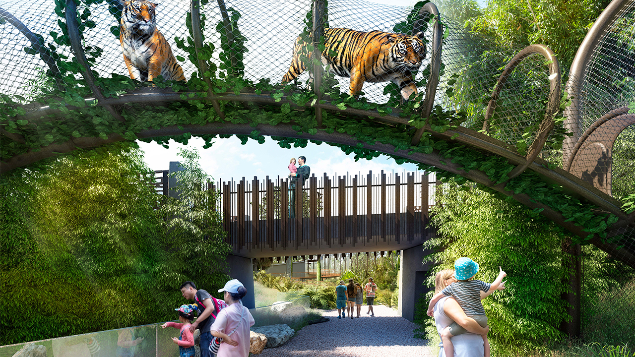 Swinging into Action for Some Jungle VIPs | Jacobs