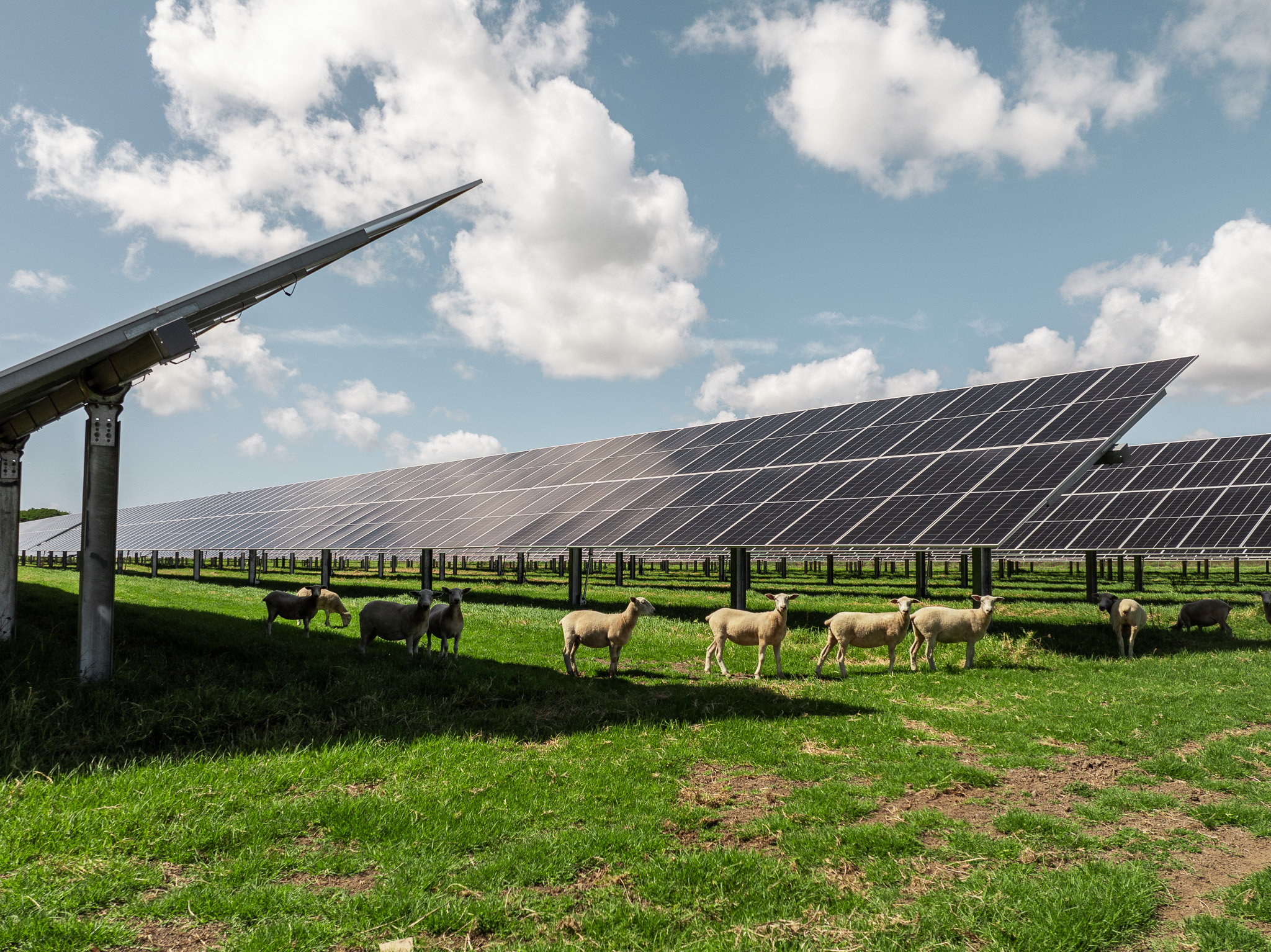 Lodestone Energy’s Solar Farm Program | Jacobs