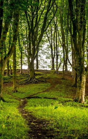 Welcome to Jacobs | Jacobs