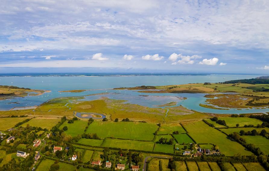 Blue Carbon | Jacobs