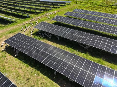 Lodestone Energy’s Solar Farm Program | Jacobs